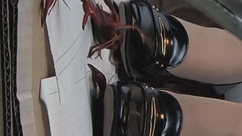 この商品に対するあなたの評価 Rate… Perfect Good Average Not that bad Very poor